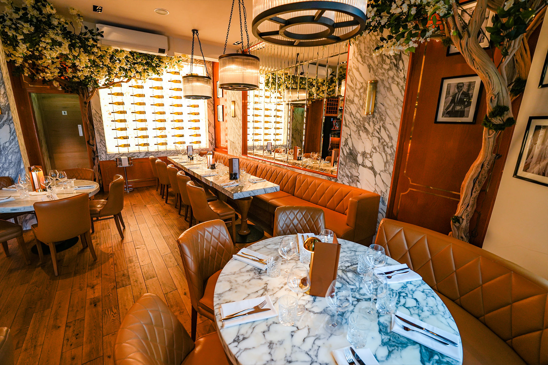 Cibo Hale Restaurant | Authentic Italian Dining in Hale