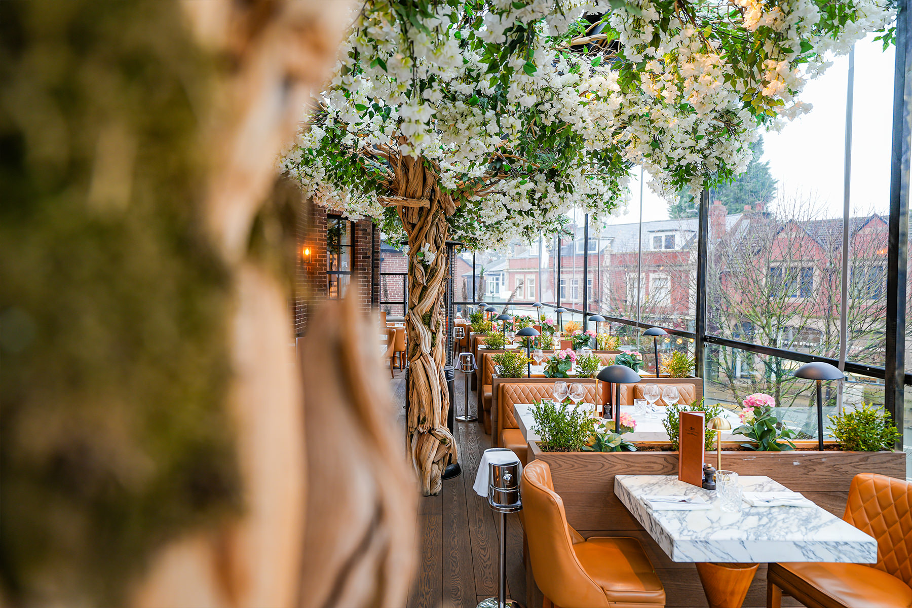 Discover the Authentic Dining Experience of Cibo