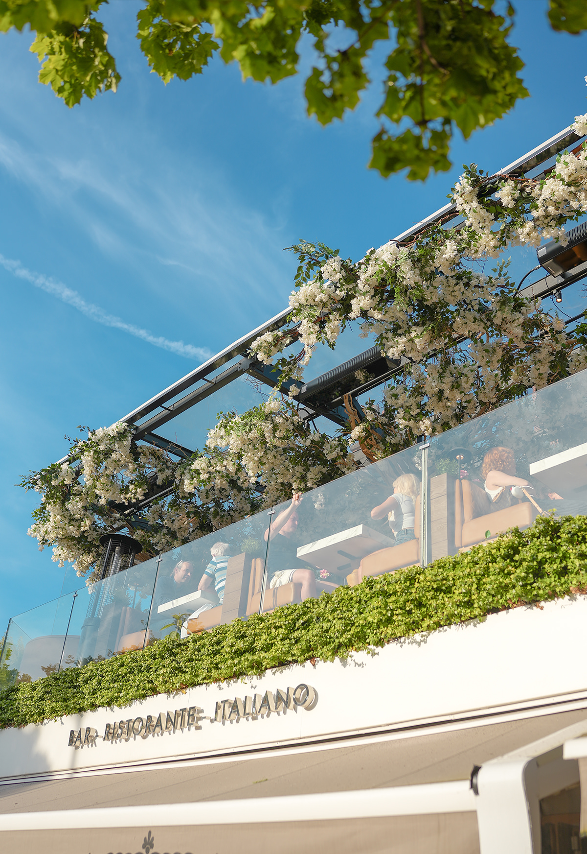 Cibo Hale Restaurant | Authentic Italian Dining in Hale