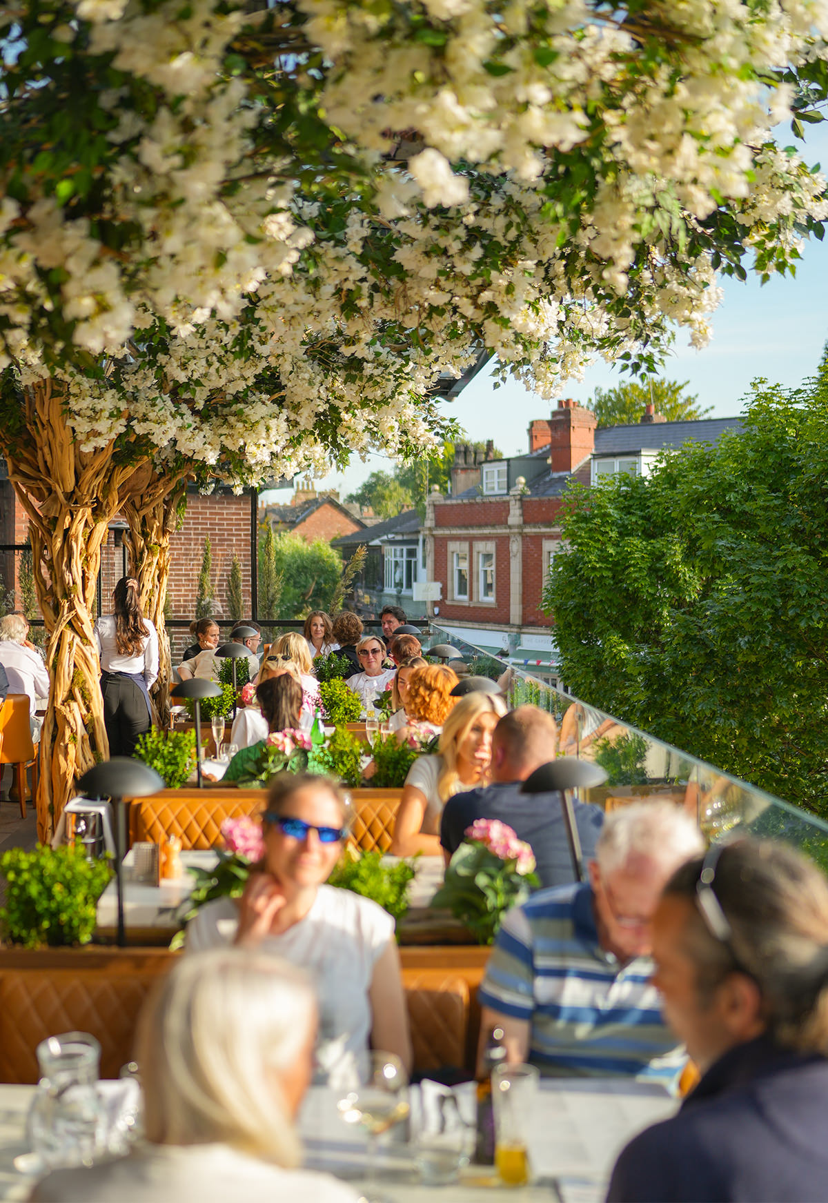 Cibo Hale Restaurant | Authentic Italian Dining in Hale