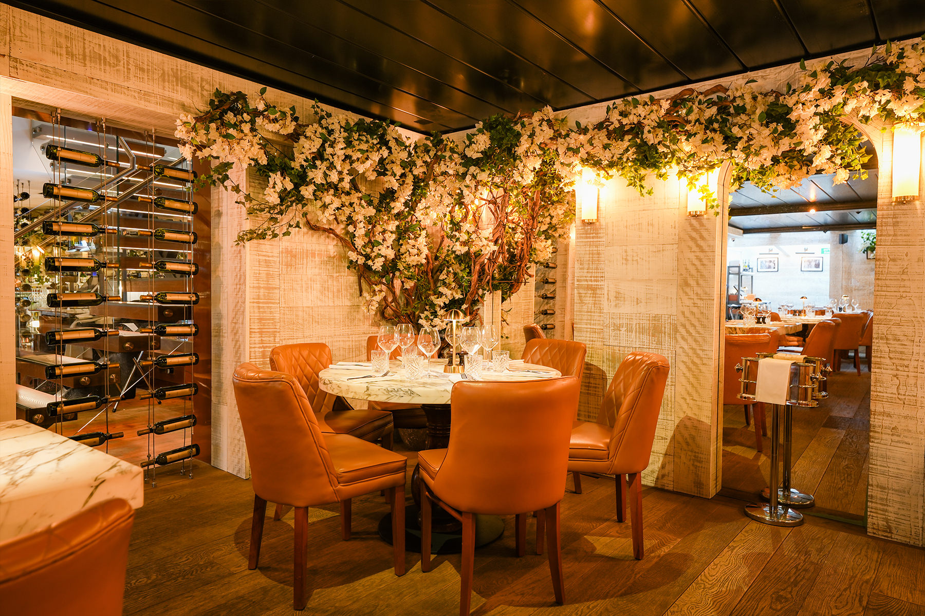 Cibo Hale Restaurant | Authentic Italian Dining in Hale