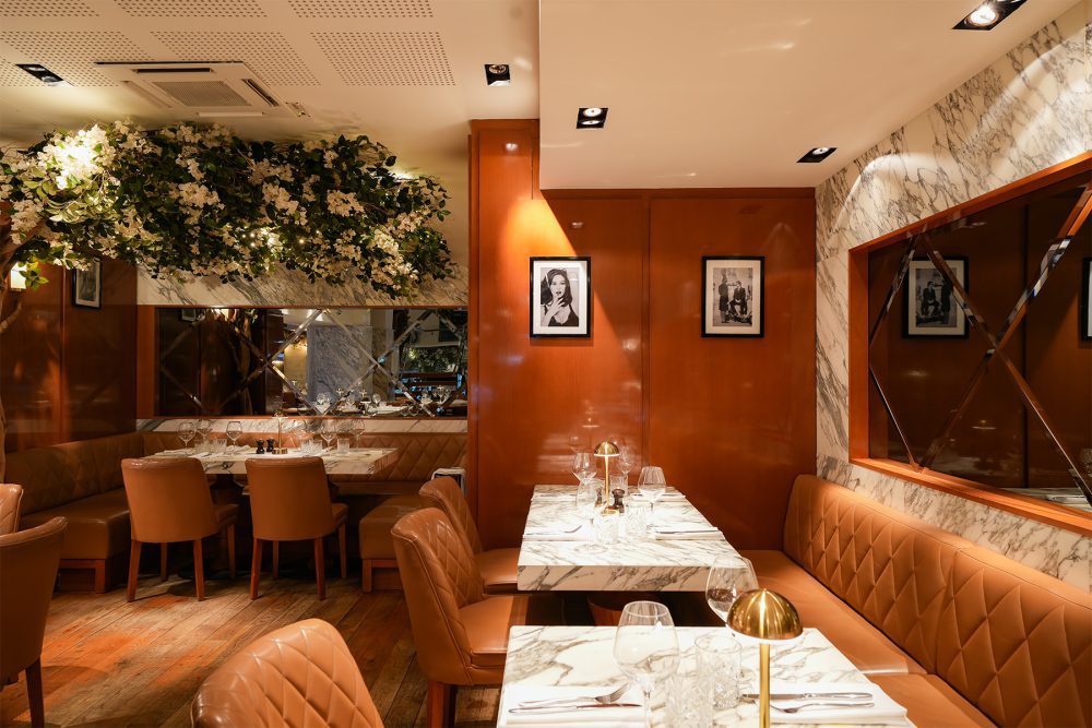 Cibo Hale Restaurant | Authentic Italian Dining in Hale