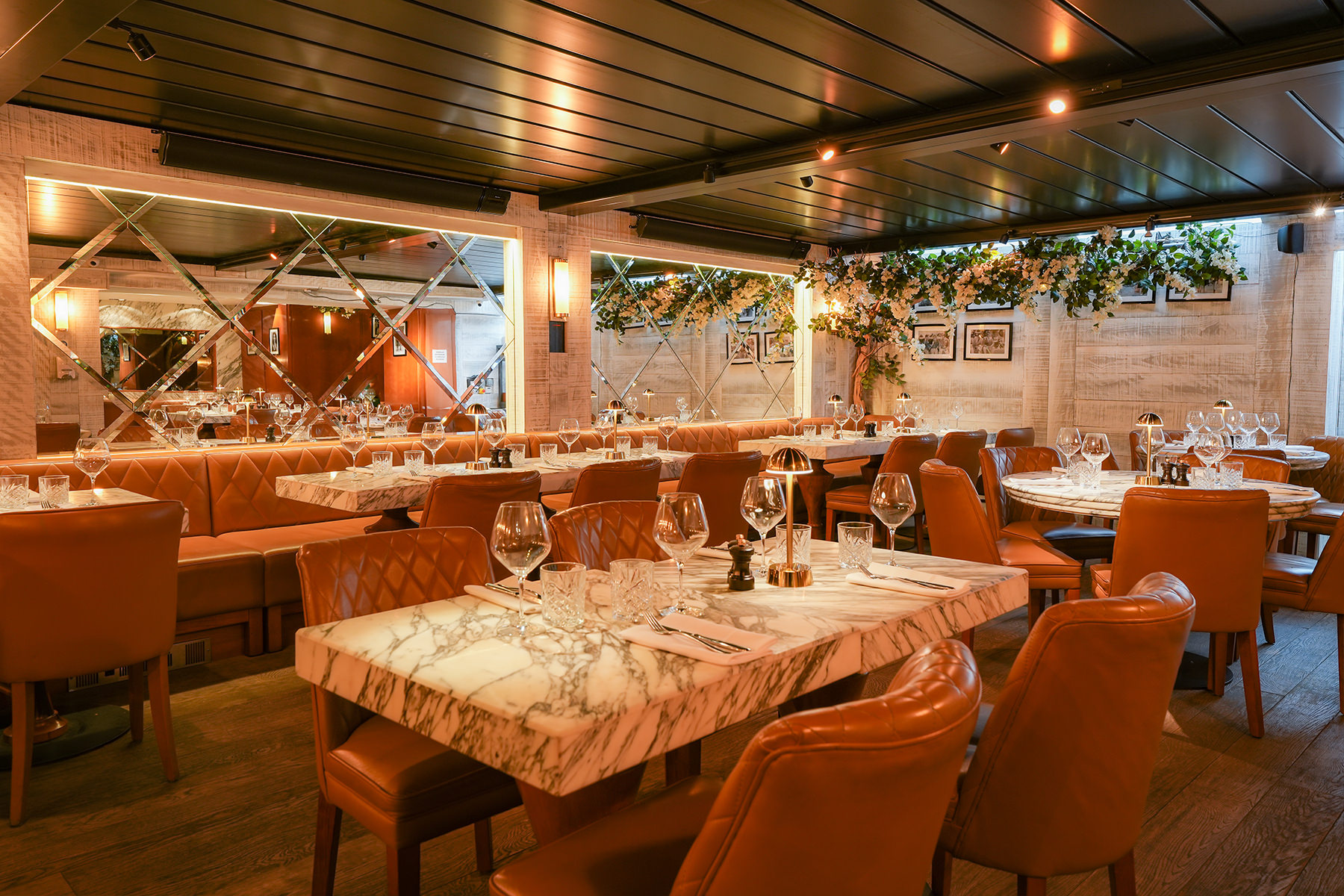 Cibo Hale Restaurant | Authentic Italian Dining in Hale