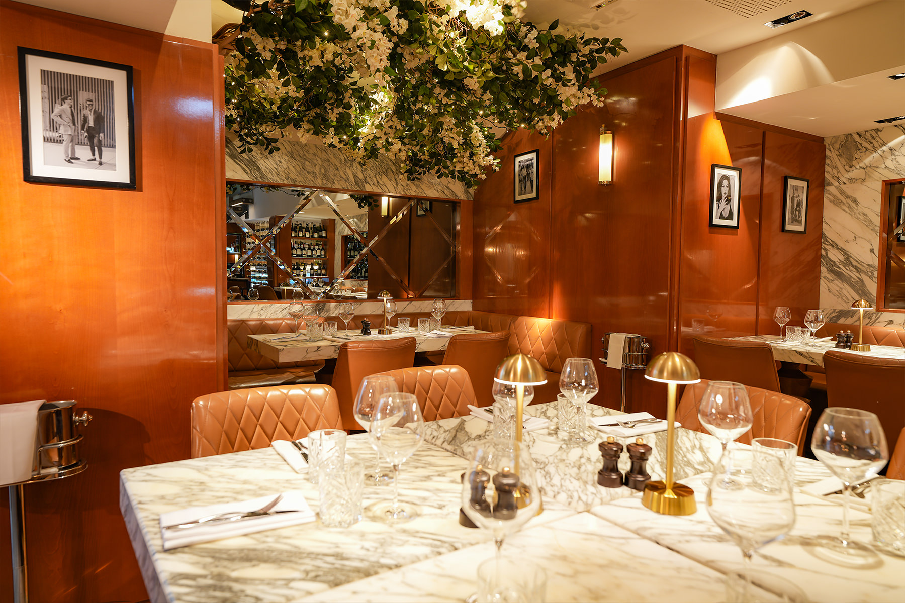 Cibo Hale Restaurant | Authentic Italian Dining in Hale