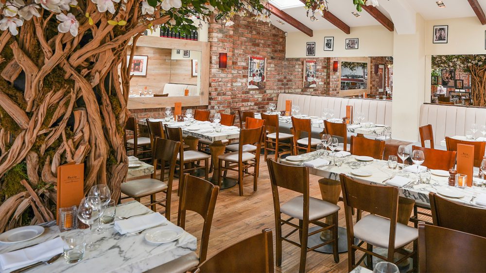 Sasso Disley | Book Now 01663 765 400