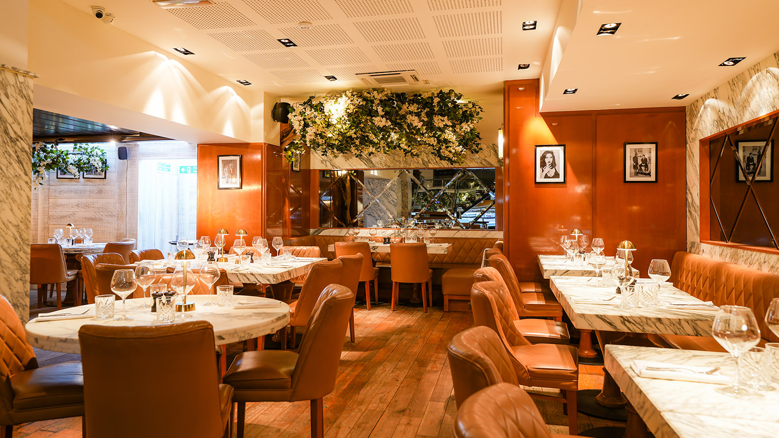 Cibo Hale Restaurant | Authentic Italian Dining in Hale