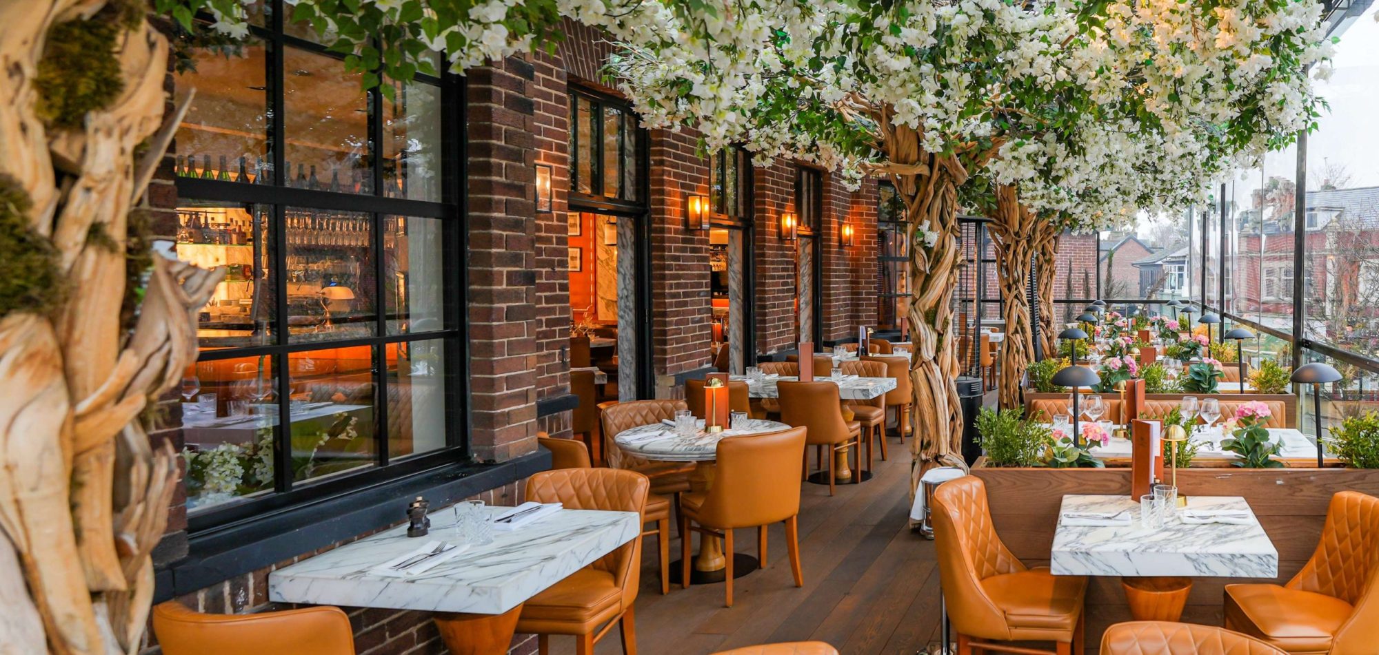 Cibo Hale Restaurant | Authentic Italian Dining in Hale