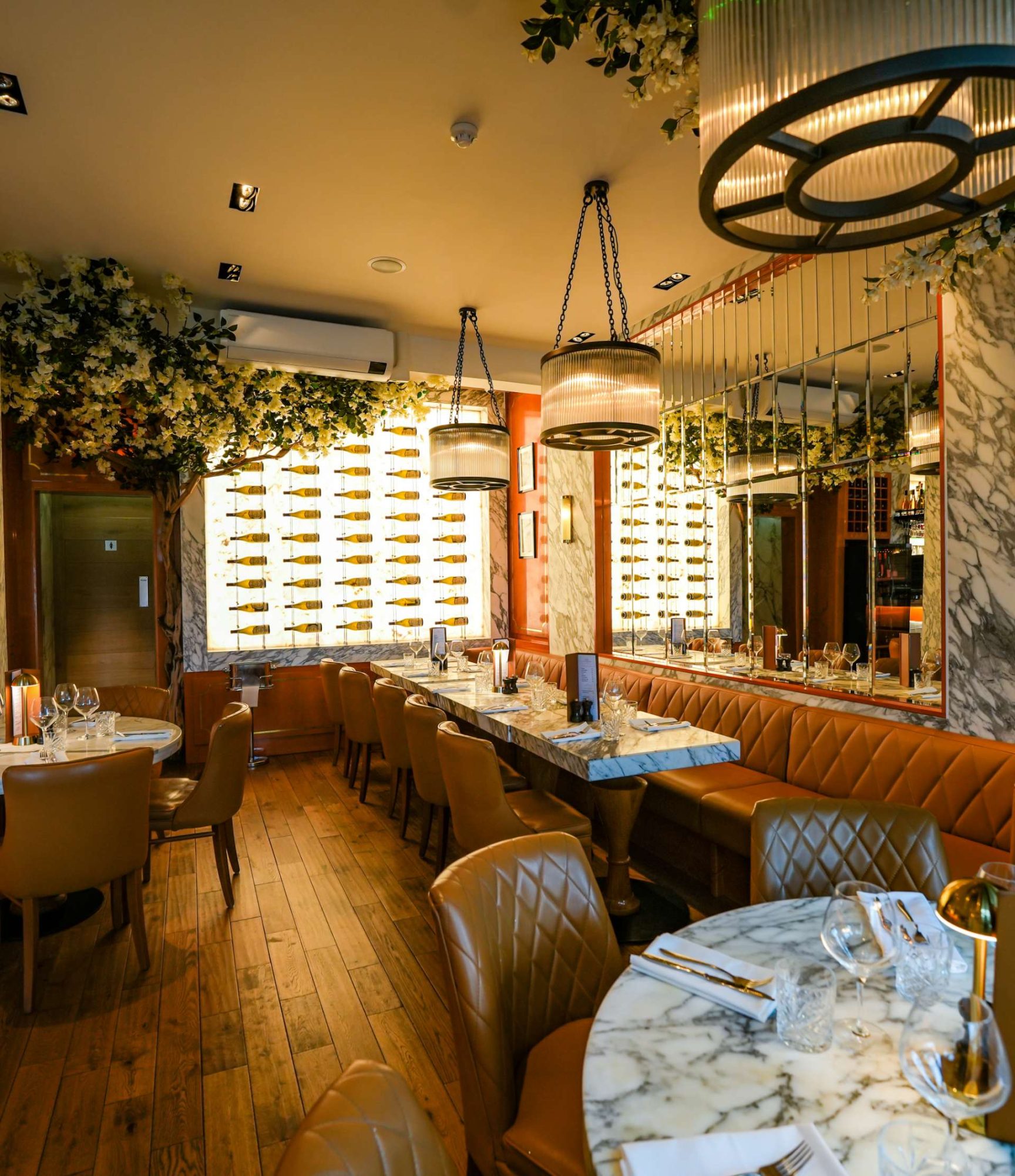 Cibo Hale Restaurant | Authentic Italian Dining in Hale