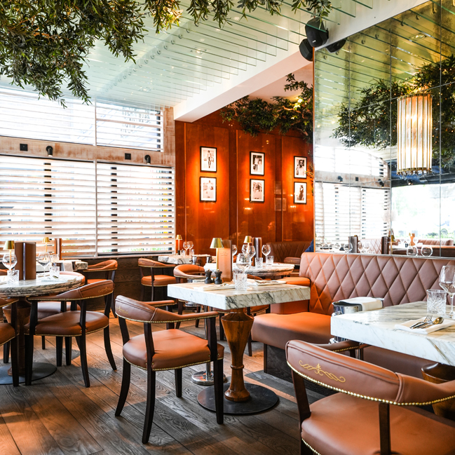 Cibo Hale Restaurant | Authentic Italian Dining in Hale