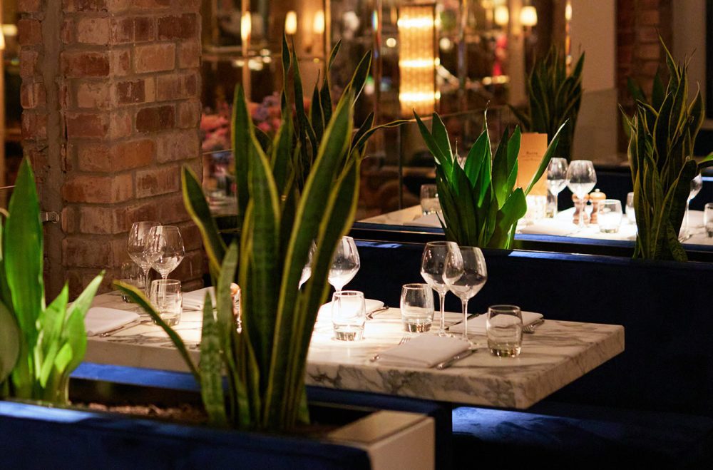 Sasso Restaurant in Disley, Cheshire| Book Now 01663 765 400