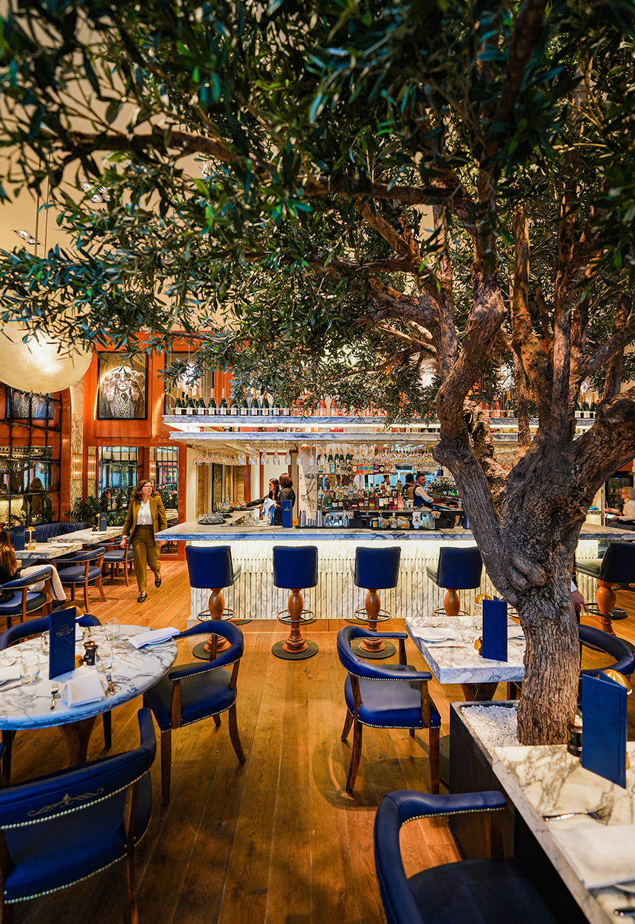 Cibo Restaurants | Manchester, Hale, Wilmslow & Disley