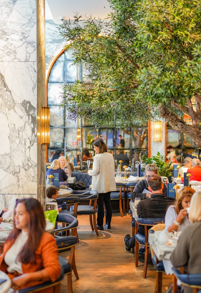 Cibo Italian Restaurant | Manchester, Hale, Wilmslow, Disley