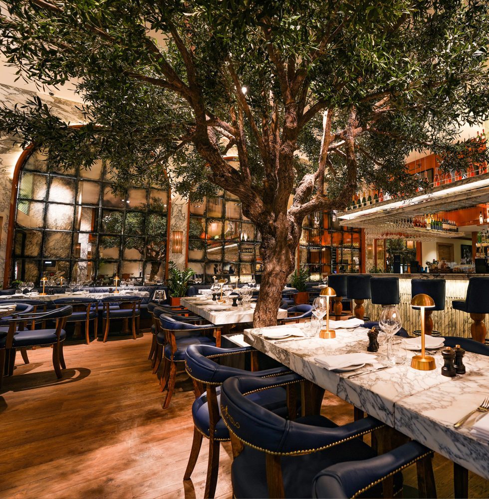 Cibo Italian Restaurant | Manchester, Hale, Wilmslow, Disley