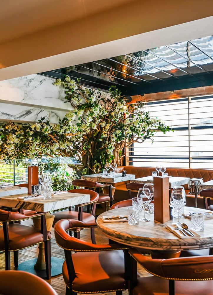 Cibo Restaurant Menu - Italian Food Menu | Gusto Italian